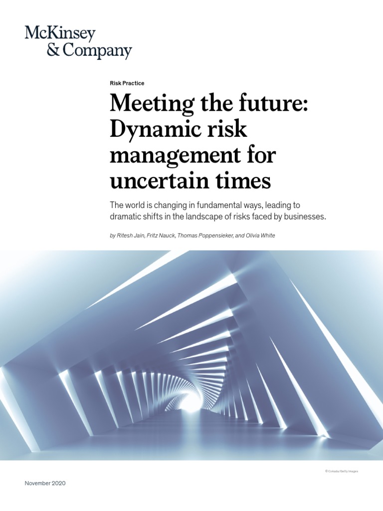 Meeting The Future Dynamic Risk Management For Uncertain Times | PDF ...