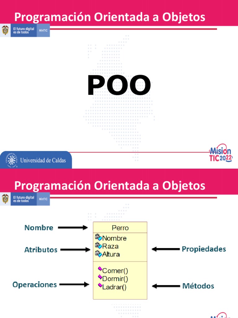 05 Programacion Orientada A Objetos Con Java | PDF | Objeto ...