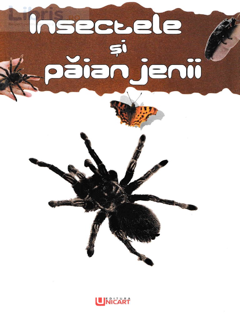 Enciclopedie Paianjeni Si Insecte | PDF