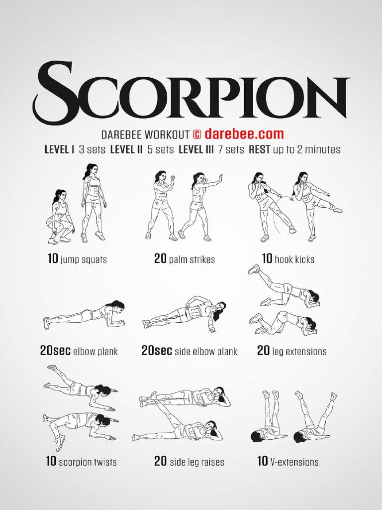 Scorpion Workout | PDF