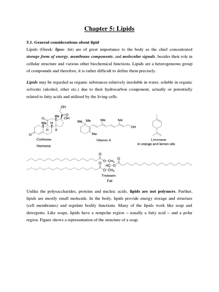 Lipids: Structure and Functions | PDF | Lipid | Fatty Acid
