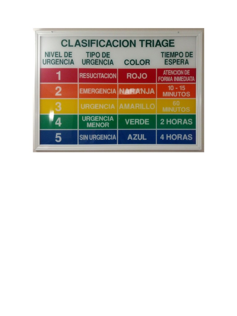 Formato de Triage | PDF