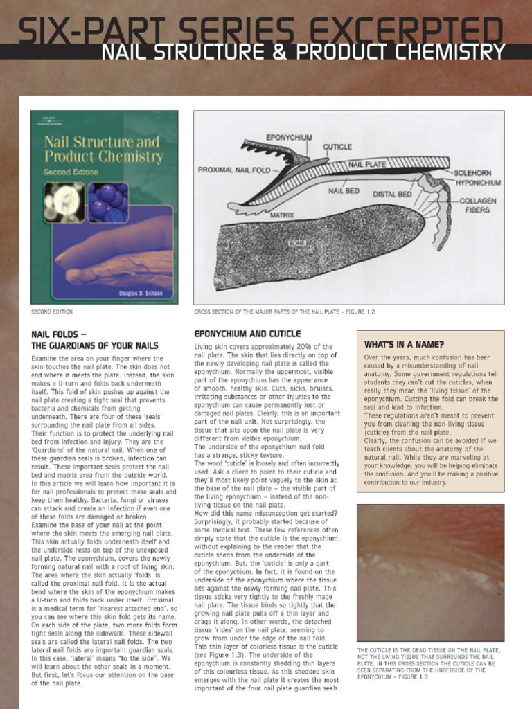 Article-book-Nail-Structure-OCT Nail Structure and Product Chemistry 2 ...
