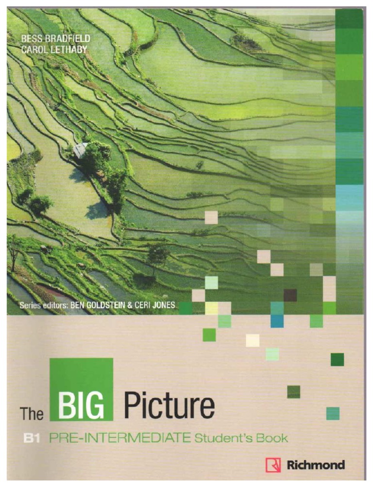 The Big Picture B1 Pre Intermediate | PDF