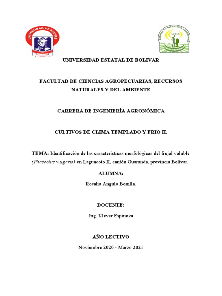 Características morfológicas del fréjol voluble | PDF | Phaseolus ...