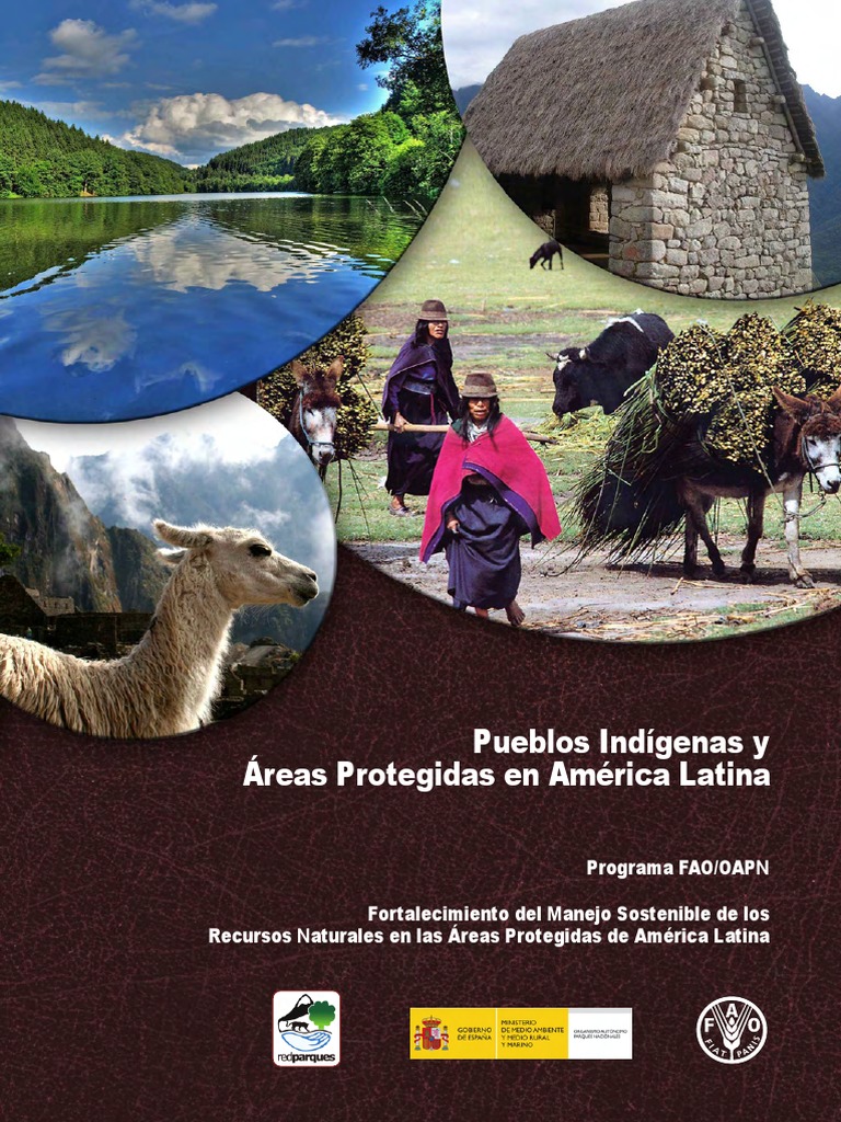 Pueblos Indigenas y Areas Protegidas en America Latina | PDF | Gente ...