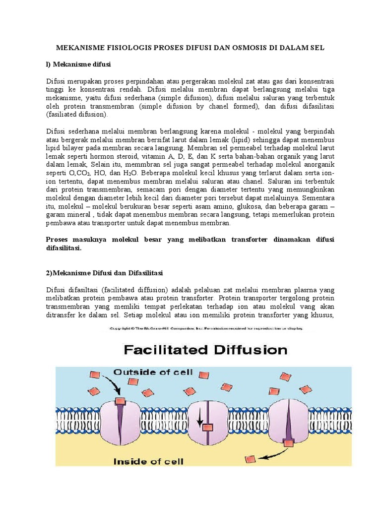 Mekanisme Fisiologis Proses Difusi Dan Osmosis Di Dalam Sel | PDF