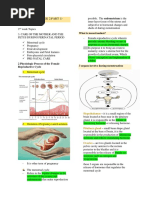 Essential Intrapartum Newborn Care (Einc) | PDF | Breastfeeding | Childbirth