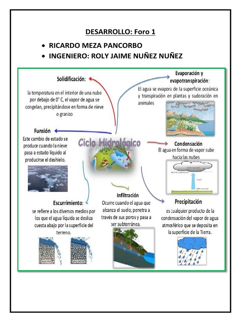 Foro de Desarrollo: Ricardo Meza y Roly Núñez | PDF | Hogar, jardinería ...