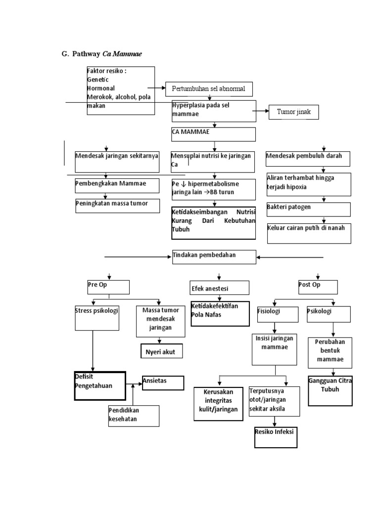 Pathway dan Penanganan Ca Mammae | PDF