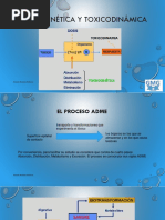 Toxicocinética y Toxicodinamia | PDF | Toxicidad | Excreción