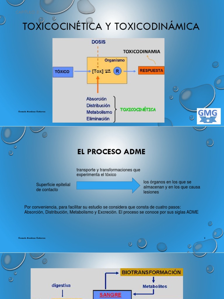 Cap5 - TOXICODINÁMICA Y TOXICOCINÉTICA | PDF | Digestión ...