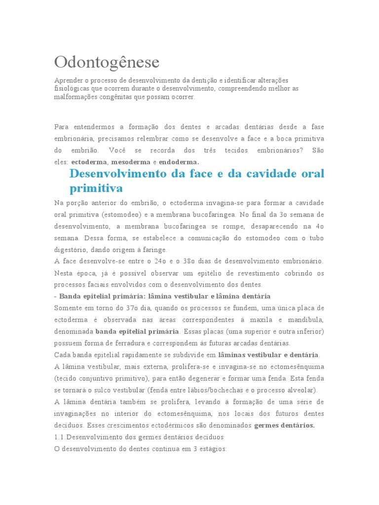 Odontogênese | PDF | Dente | Esmalte dentário