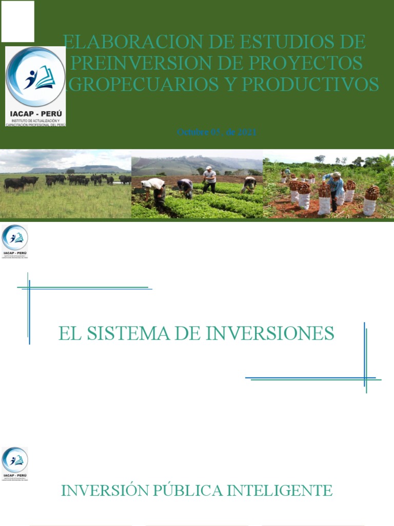 Elaboracion Est Preinversion Proy Agrop y Productivos | PDF | Mercado (economía) | Oferta (economía)