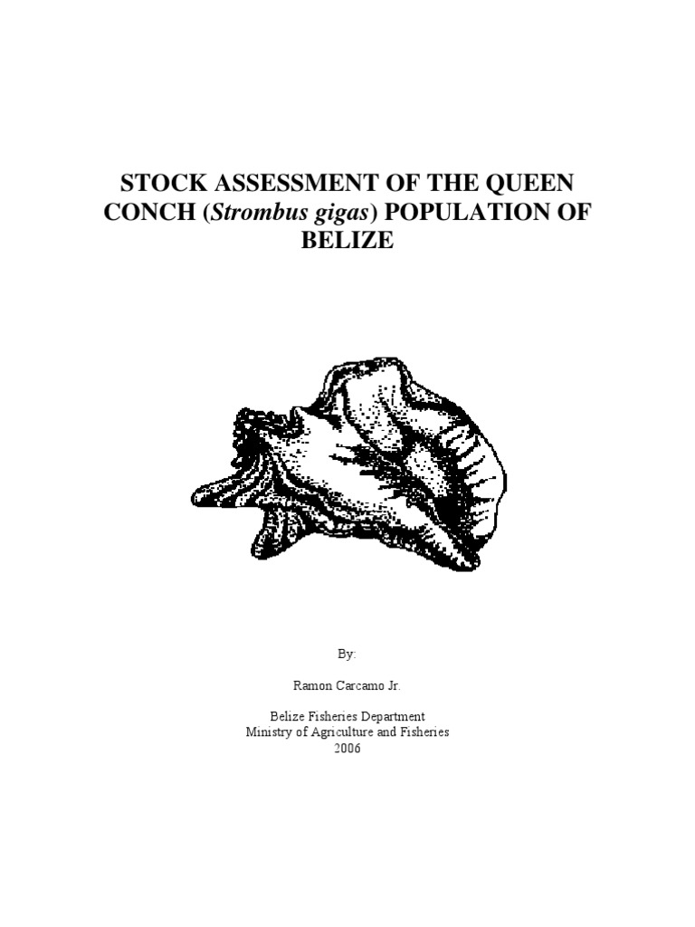 Stock Assessment of The Queen Conch Population of Belize | PDF | Coral ...