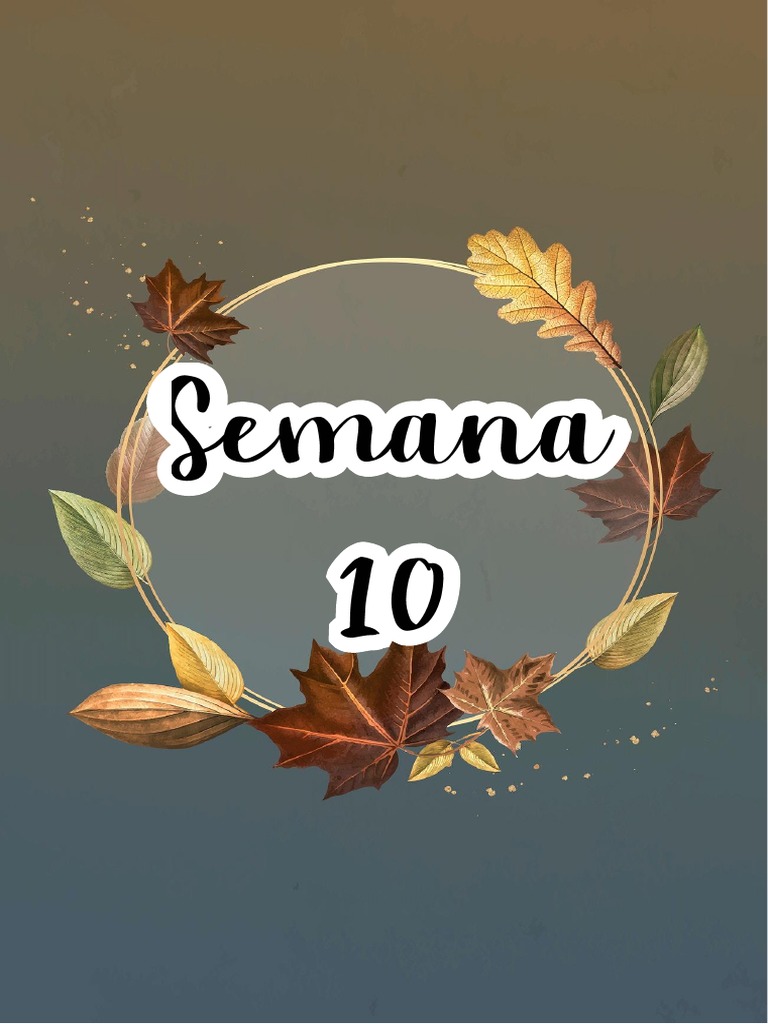 Carátula - Semana 10 | PDF