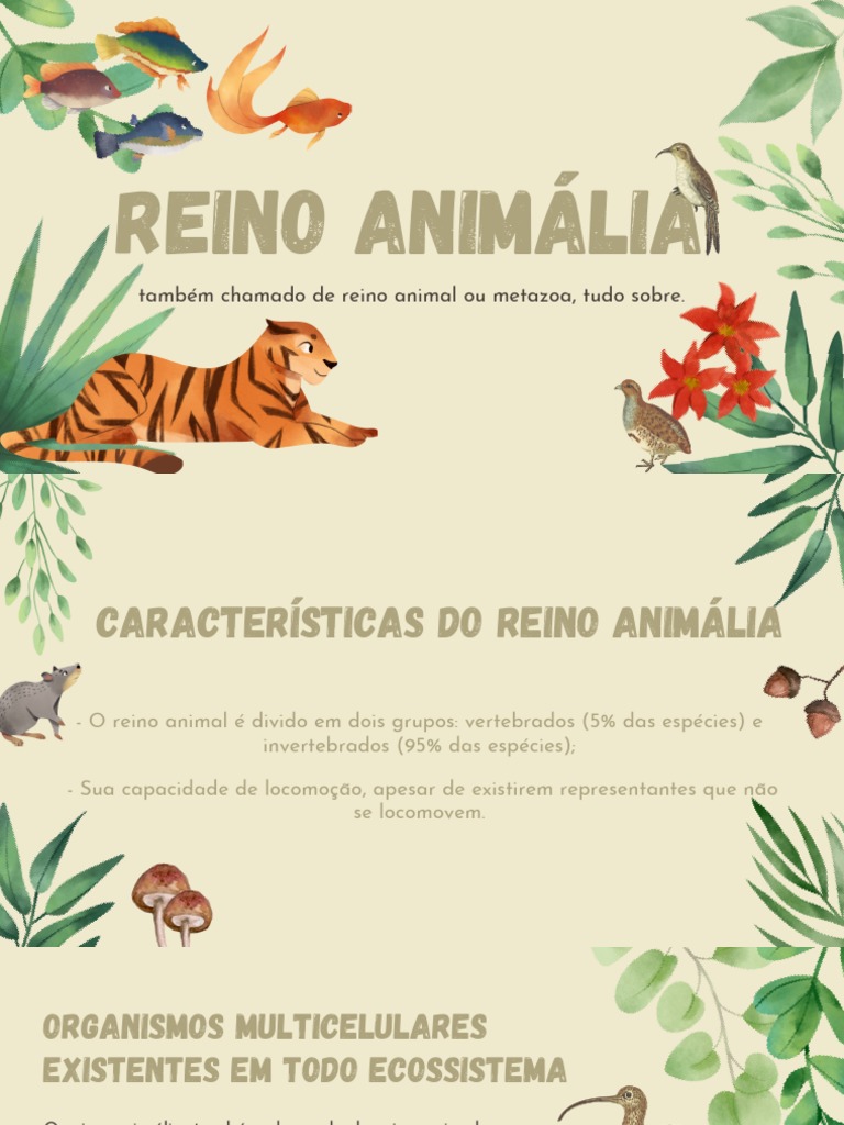 Uma Introdução Abrangente ao Reino Animalia: Características ...