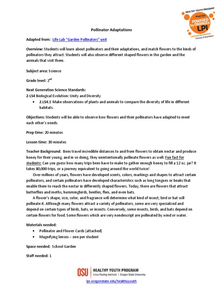 Pollinator Adaptations for Students | PDF | Flowers | Pollinators