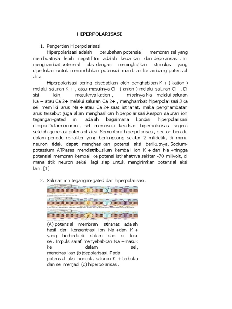 Hiperpolarisasi | PDF