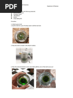 Testing A Leaf For Starch | PDF