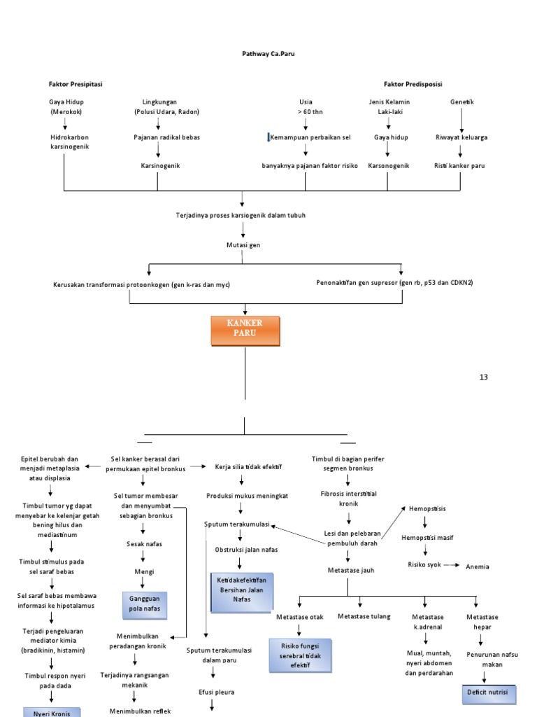 Patofisiologi Kanker Paru dan Pathway | PDF