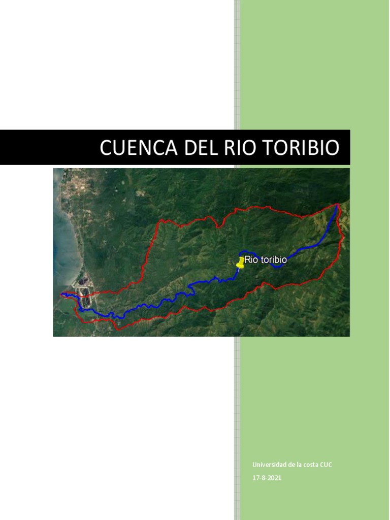 Informe Cuenca Río Toribio | PDF | Río | Cuenca de drenaje