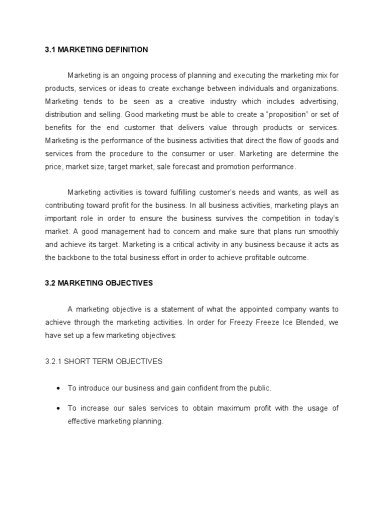 Freezy Freeze - Marketing Plan | PDF | Marketing | Profit (Economics)