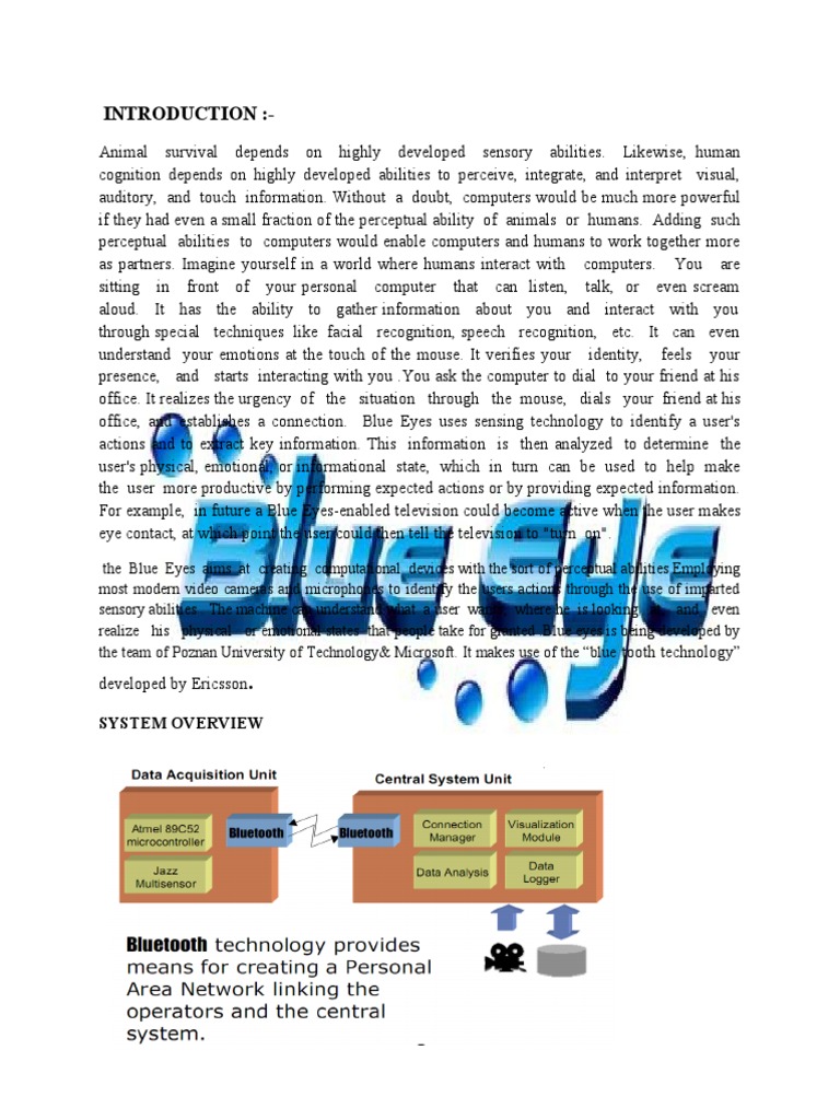 Sem Report On Blue Eye Technology1 | PDF | Perception | Analog To ...