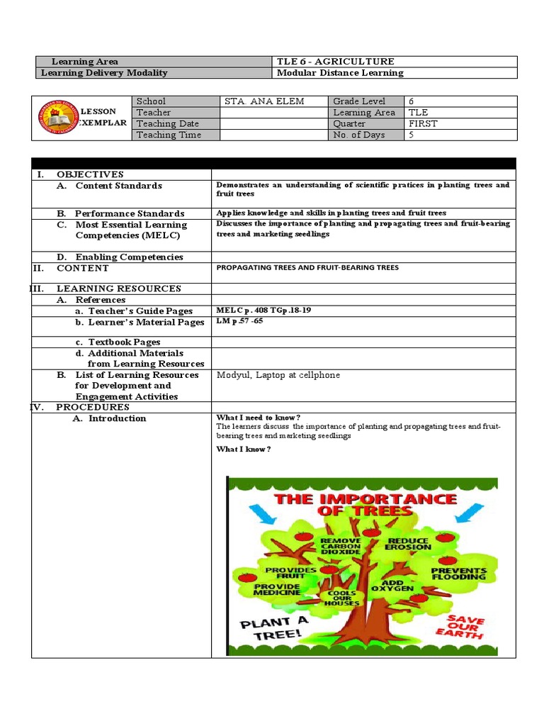 School Sta. Ana Elem Grade Level 6 Teacher Learning Area TLE Teaching ...