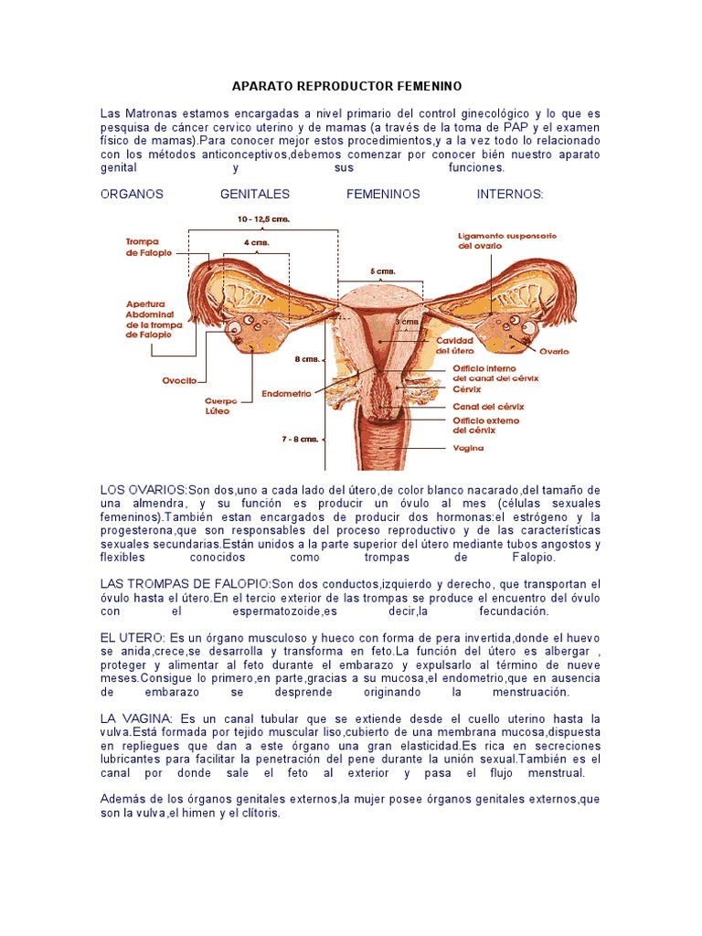 APARATO REPRODUCTOR FEMENINO