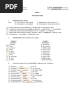 Directional Terms Worksheet | PDF | Anatomical Terms Of Location | Elbow