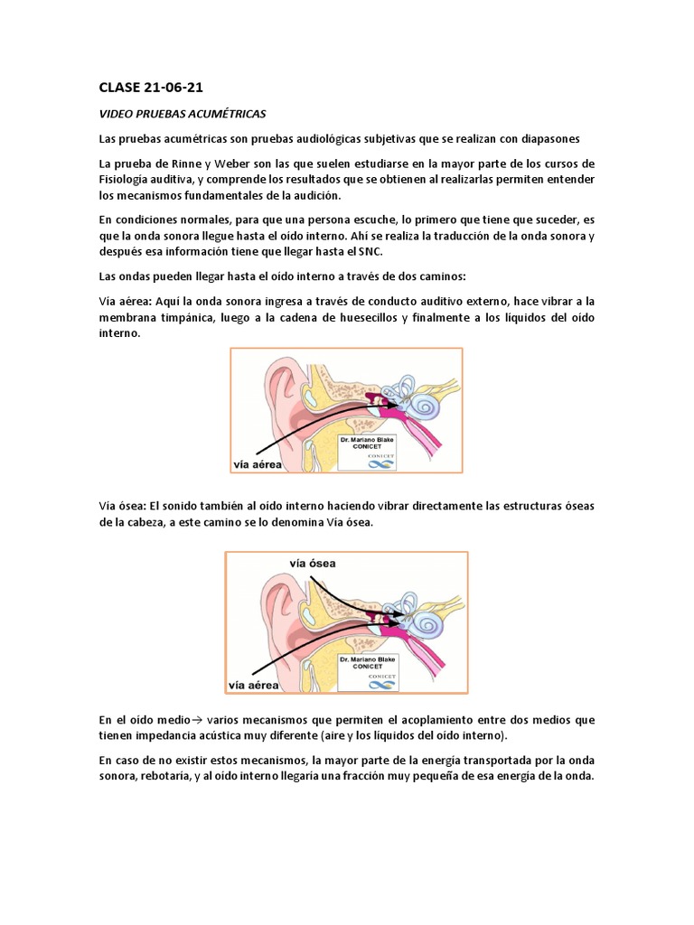 Clase 21-06-2021 Semio | PDF | Oído | Sistema nervioso