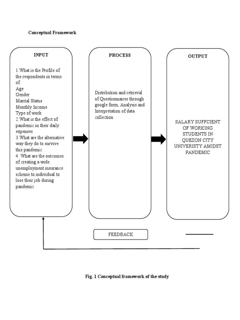 Conceptual Framework - Finalized Kona | PDF