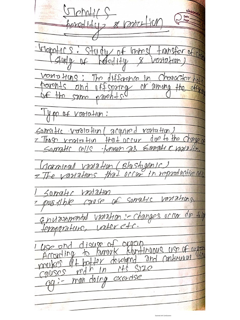 Genetics Notes | PDF