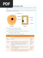 Animal and Plant Cell Match and Color Pages Freebie | PDF
