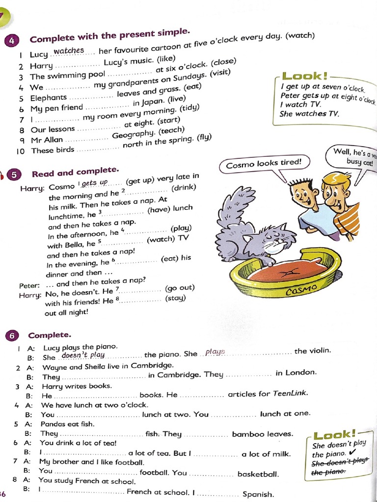 New Grammar Time | PDF