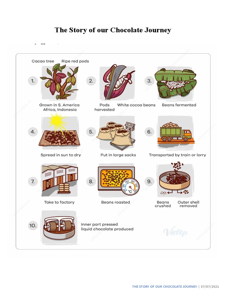 The Story of Our Chocolate Journey - Text Filling | PDF