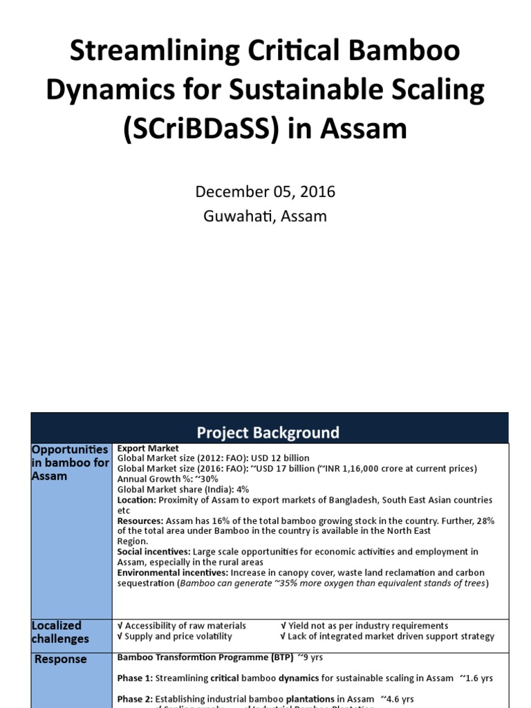 Streamlining Critical Bamboo Dynamics for Sustainable Scaling ...