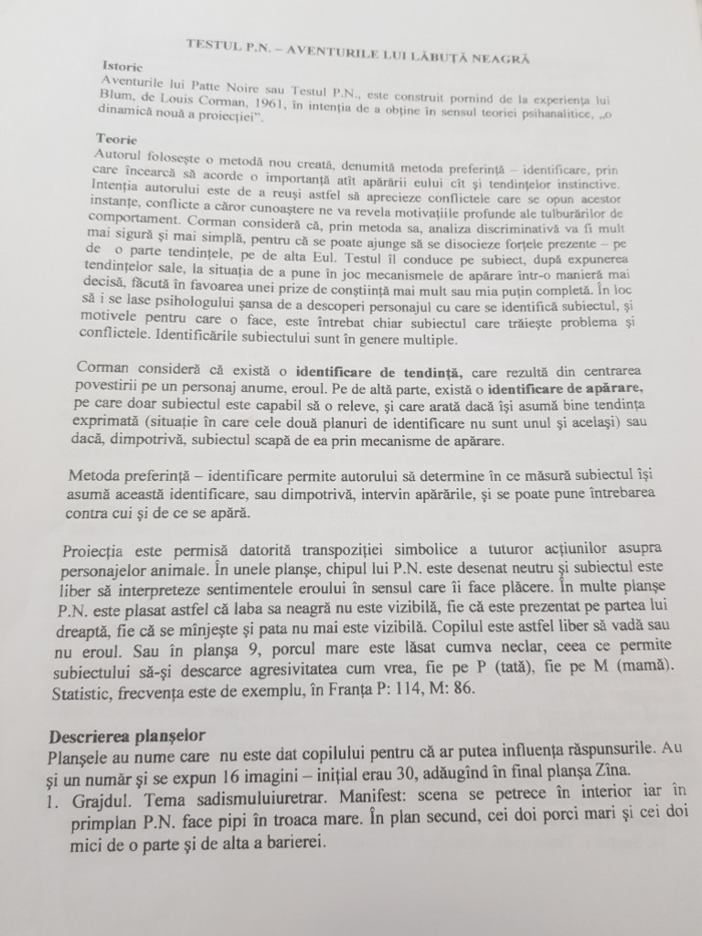 Patte Noire Interpretare | PDF