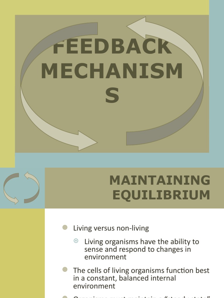 Biology: Feedback and Homeostasis | PDF | Endocrine System | Hormone