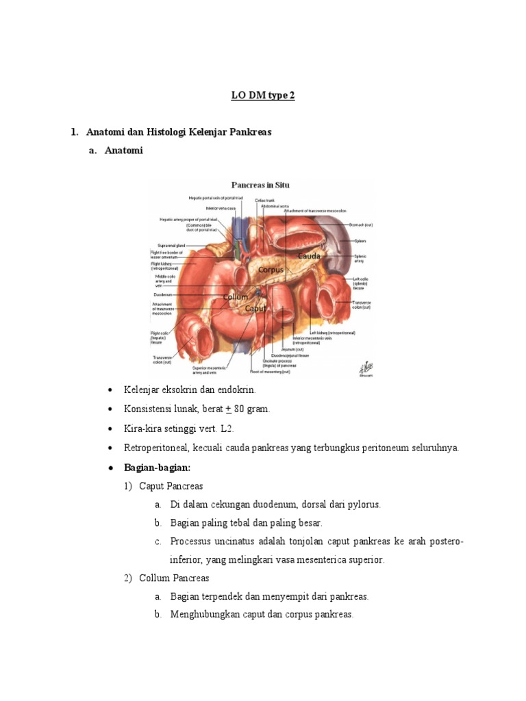 Lo Case 4 | PDF