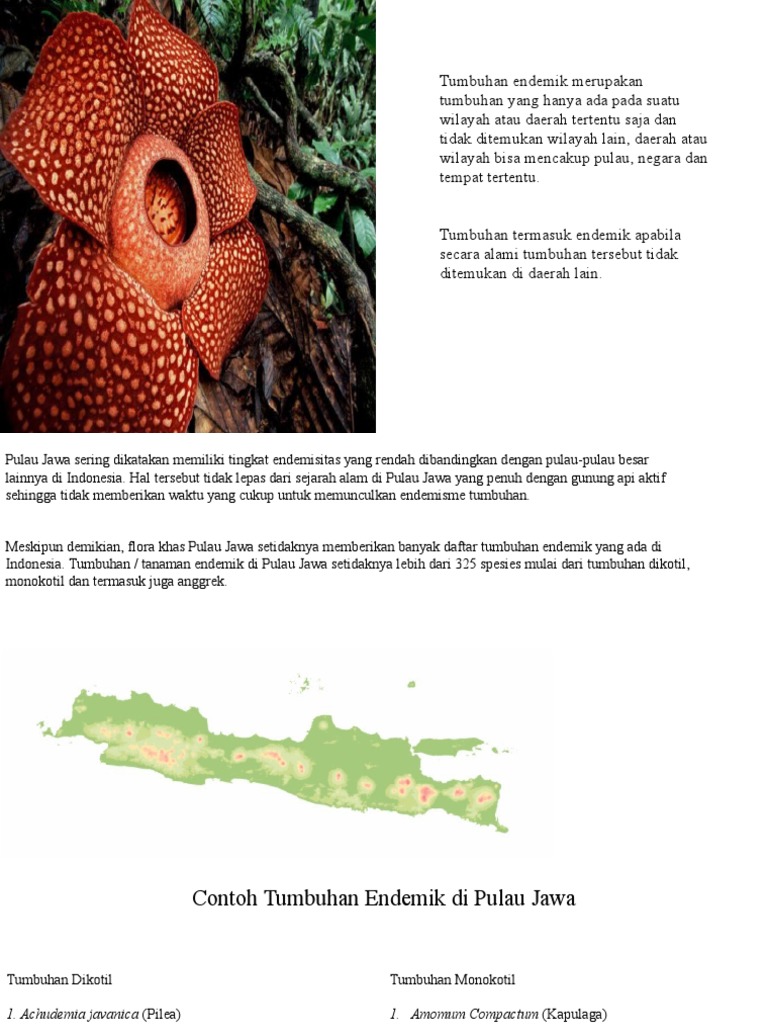Jenis Tumbuhan Endemik Di Pulau Jawa | PDF