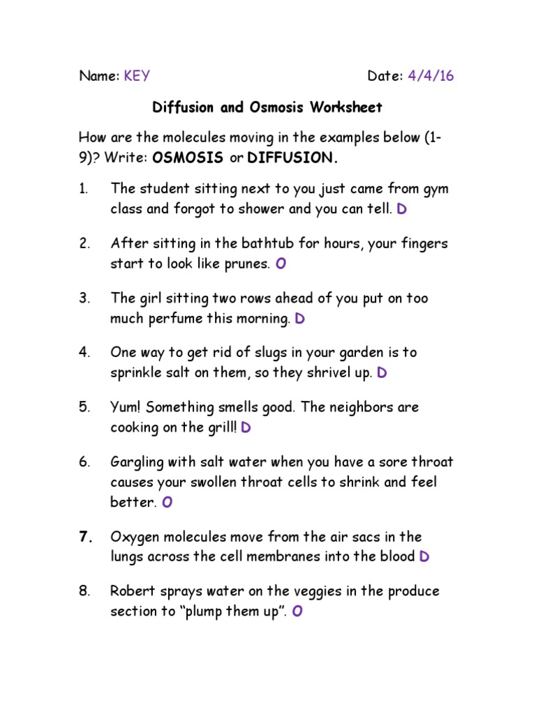 Diffusion and Osmosis Worksheet: D O D D D | PDF | Osmosis | Molecular ...