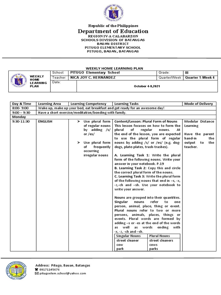 Grade 3 Plural Nouns Learning Plan | PDF | Plural | Linguistics