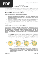 Calculate The Colony Forming Units | PDF | Colony Forming Unit | Biology