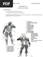 Kaplan Anatomy Coloring Book | PDF | Foot | Human Leg