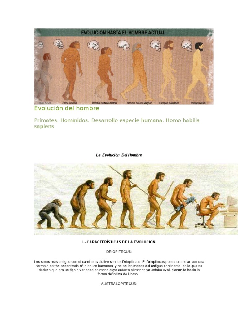 Evolución Del Hombre | PDF | Homo | Hominidae