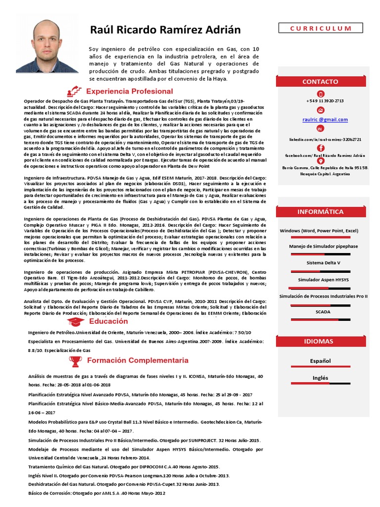 Curriculum Raul Ramirez | PDF | Petróleo
