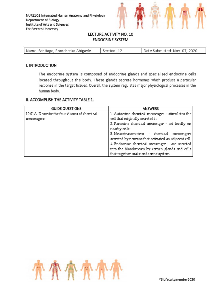 Lec - Activity10 - Endocrine System | PDF | Endocrine System | Hormone