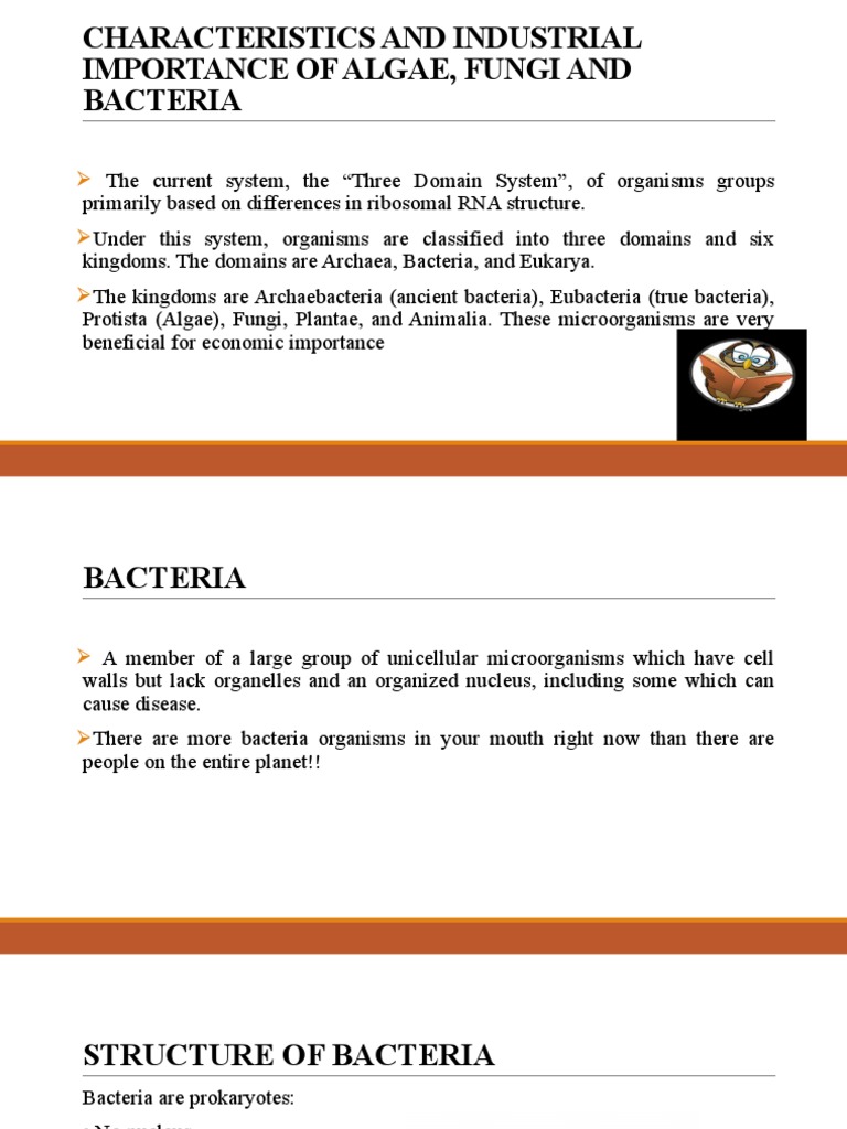 Algae, Fungi and Bacteria | PDF | Bacteria | Fungus